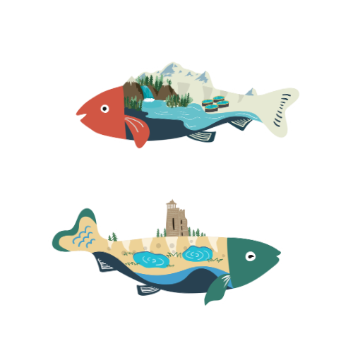 Survive the Sound - Fish Tracking